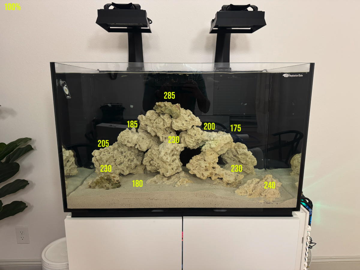 How are my PAR numbers? Which is better | Reef2Reef