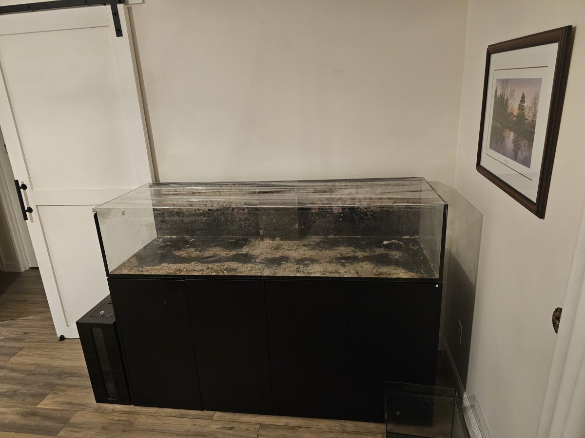 Florida - Dry Goods - SOLD - Waterbox 165.6, Custom ATO, Frag Racks ...