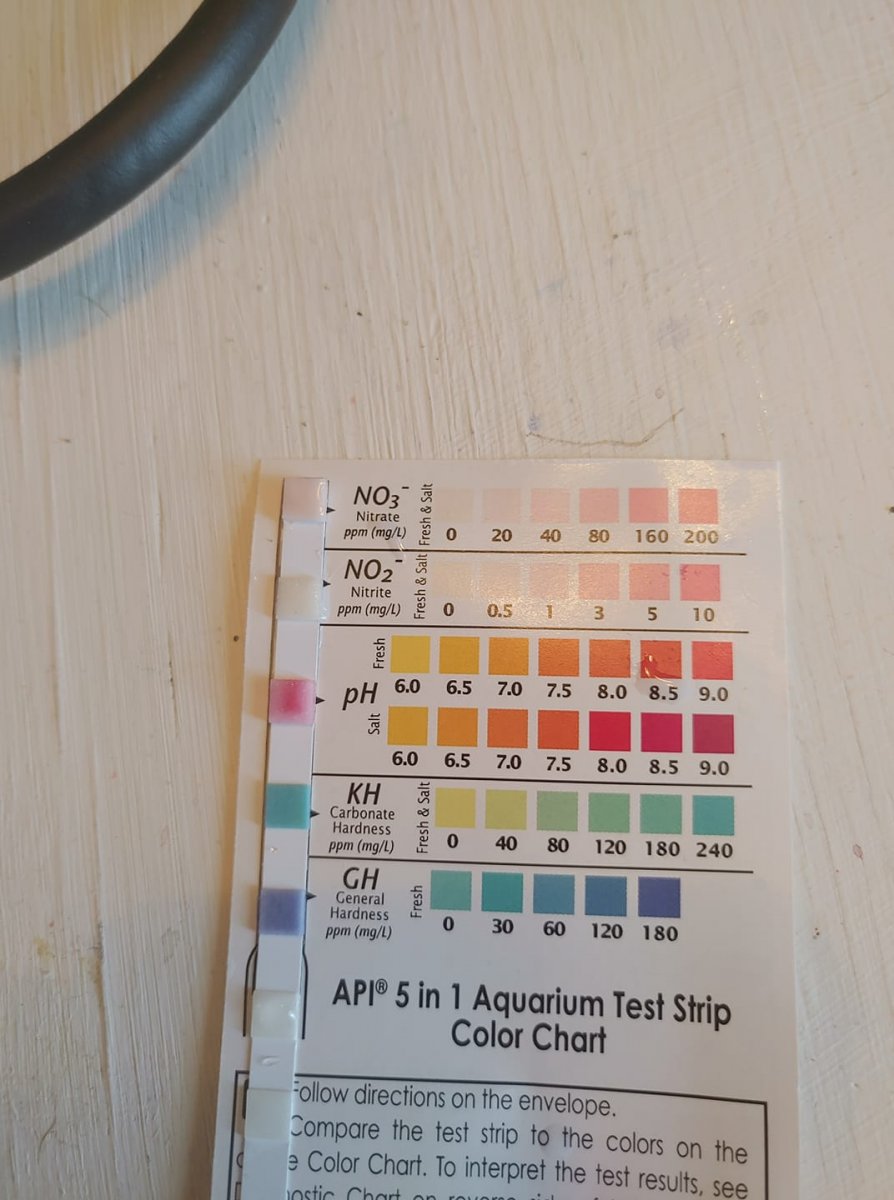 Help reading API test strip Reef2Reef