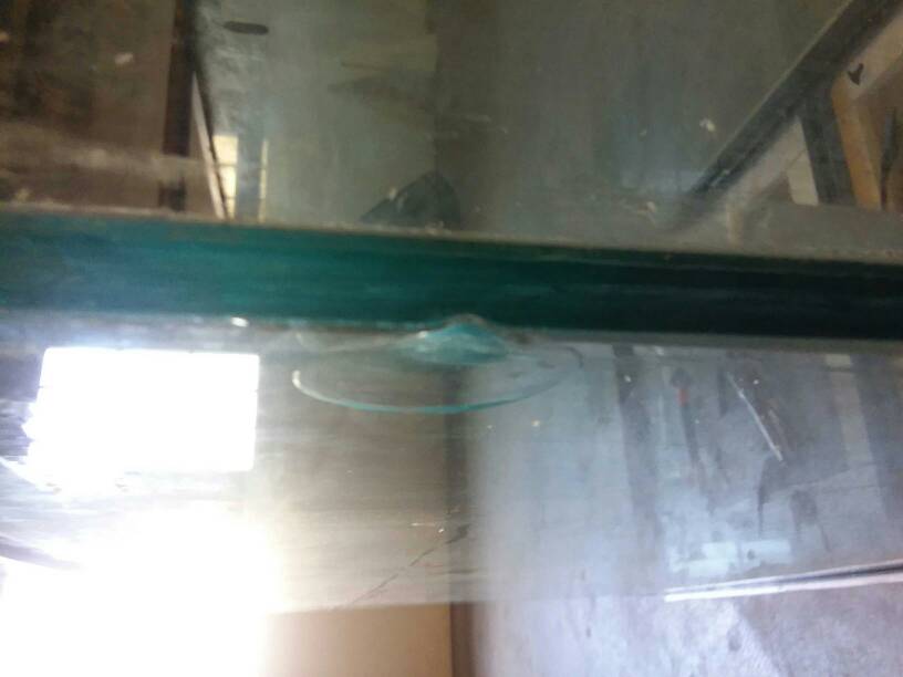 Got a chip in glass need some advice | Reef2Reef
