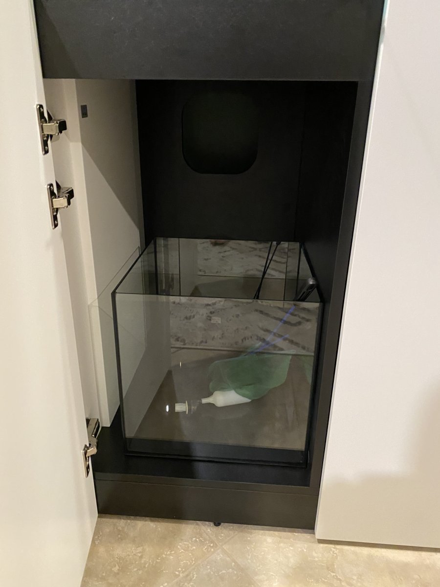 Large Build - Waterbox 220.6 mixed reef tank build | Reef2Reef