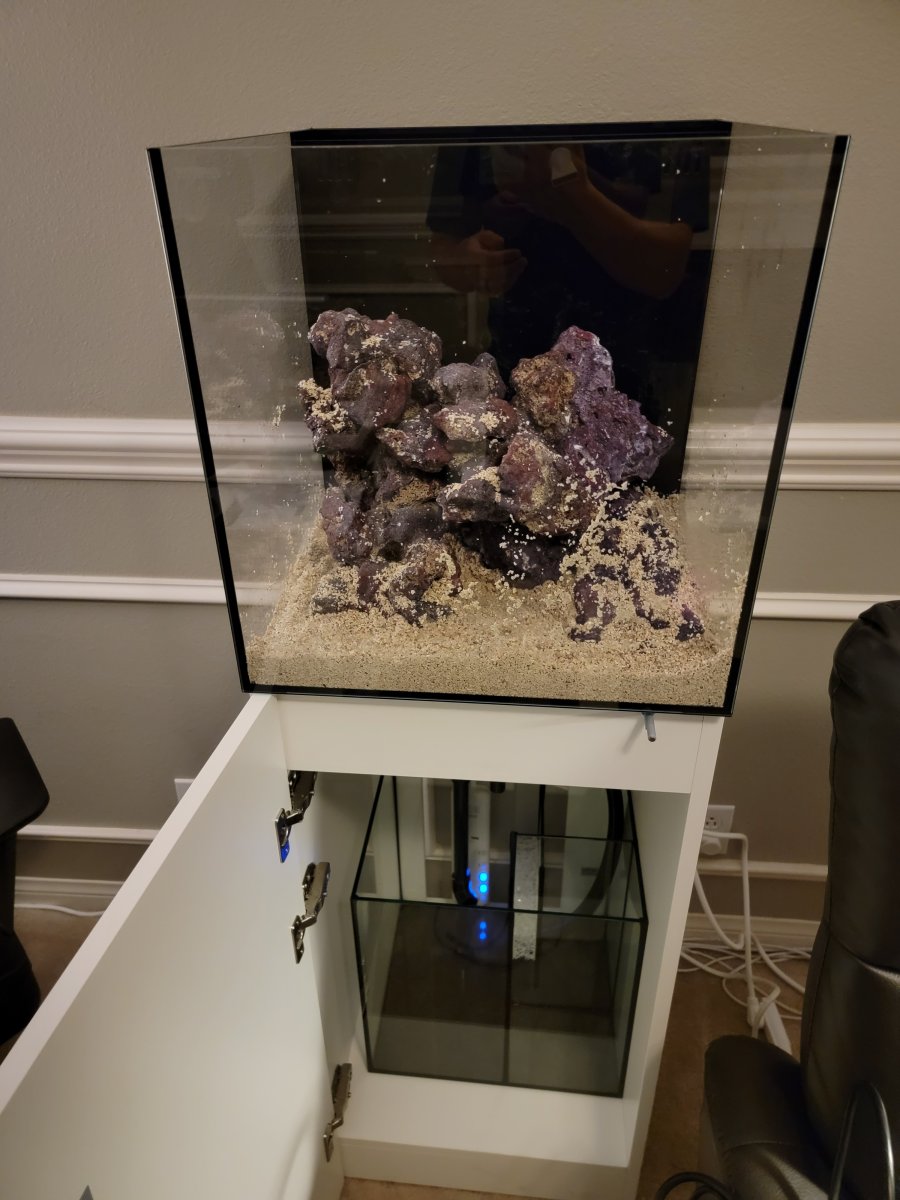 Build Thread - My Office Waterbox Marine X 35.1 Cube Build | Reef2Reef