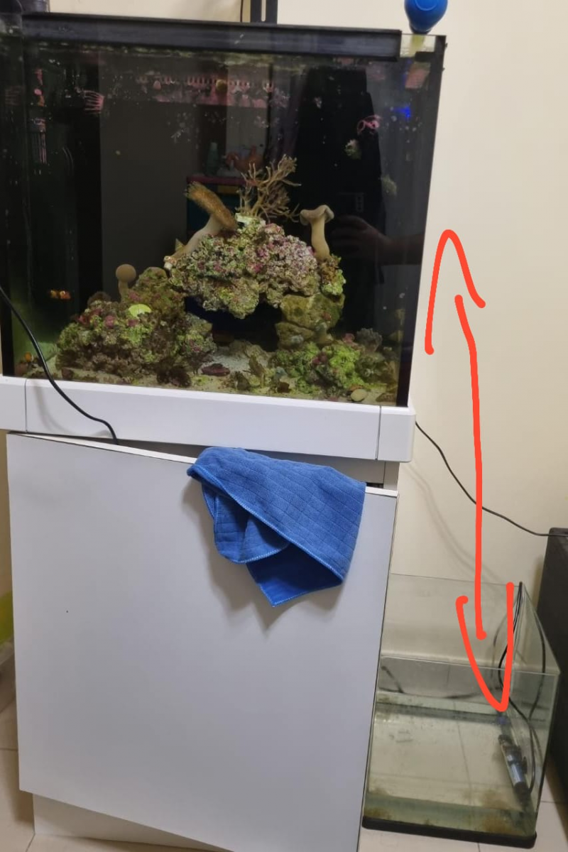 simplest way of connecting two tanks | Reef2Reef