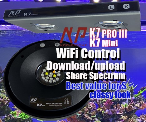 Noopsyche K7 V3 140 Data | Reef2Reef