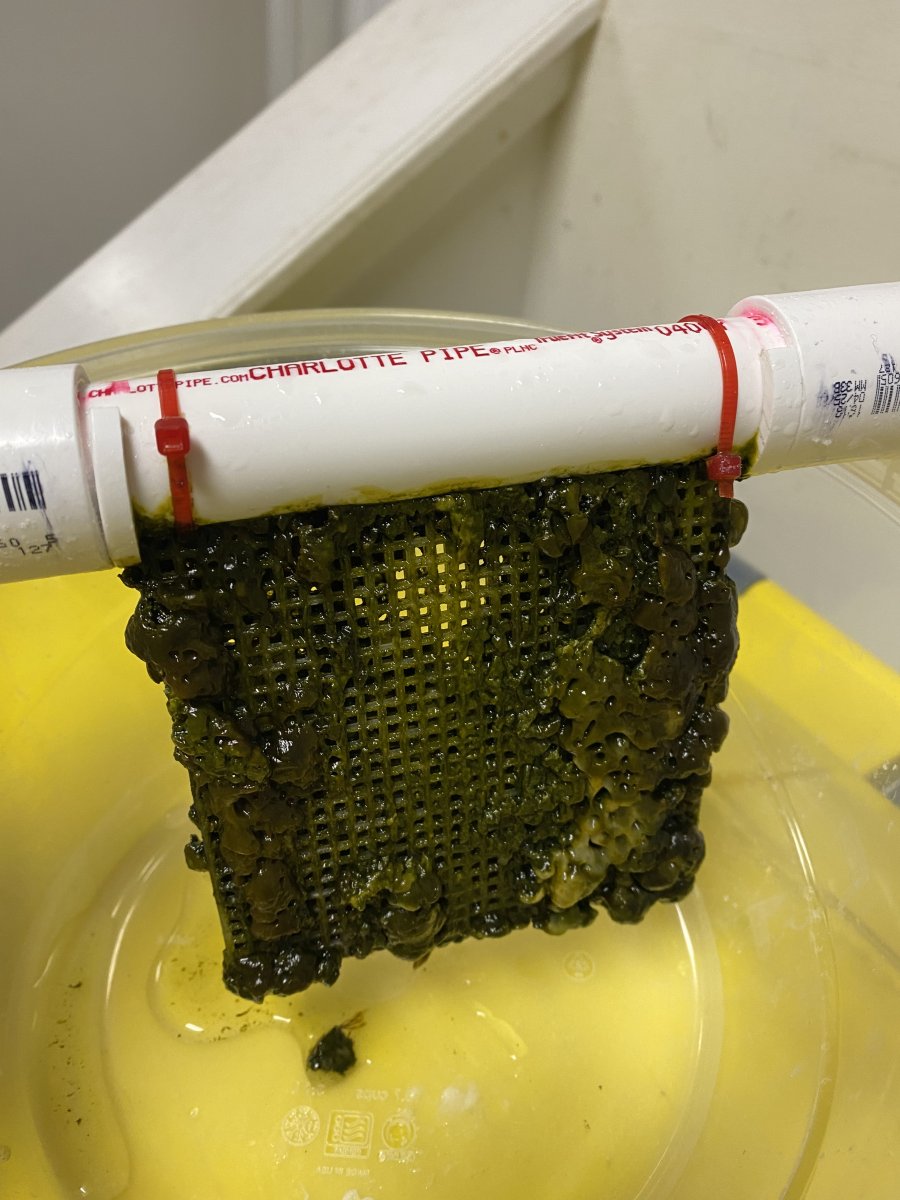 $5 algae scrubber | Reef2Reef