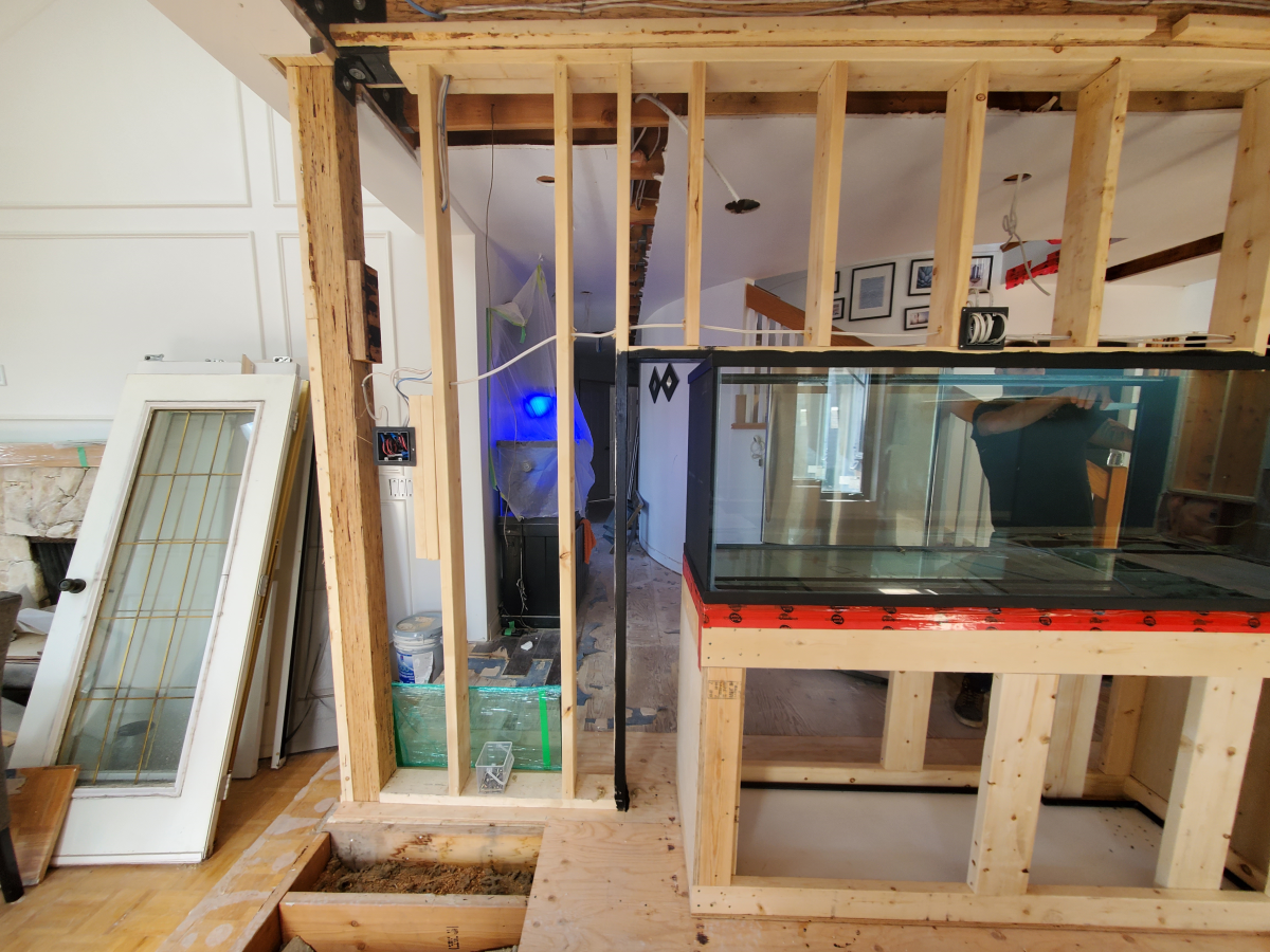 Build Thread - 120G in-wall two sided reef tank full build journey ...