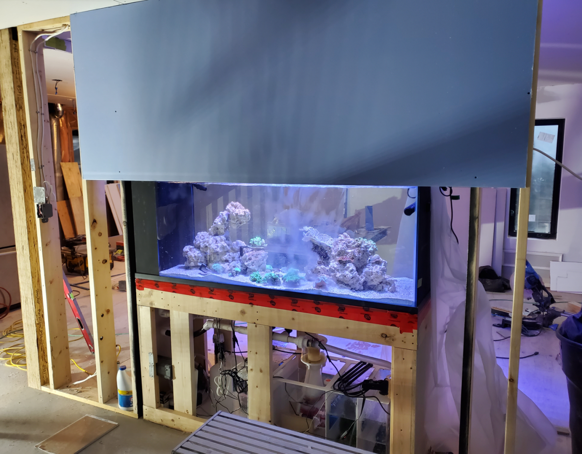 Build Thread - 120G in-wall two sided reef tank full build journey ...
