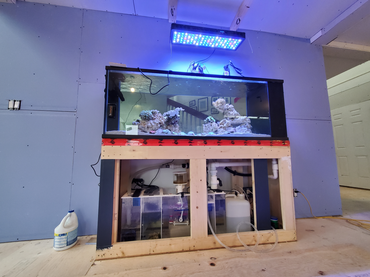 Build Thread - 120G in-wall two sided reef tank full build journey ...