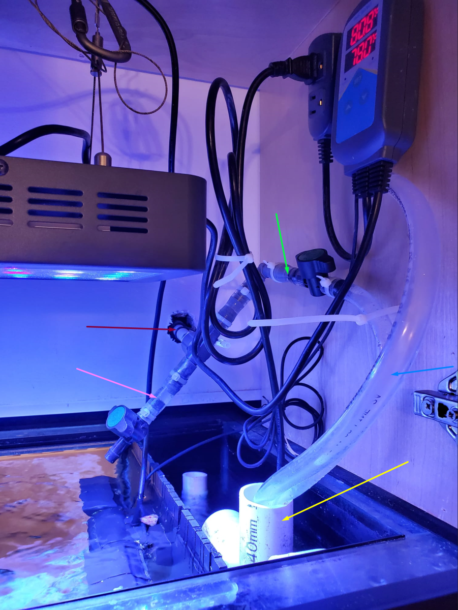 Build Thread - 120G in-wall two sided reef tank full build journey ...