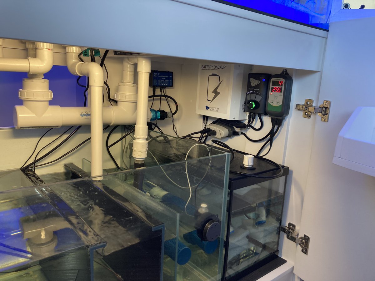 Build Thread - Upgrade from 75 gallons sumpless to custom 110 gallons ...
