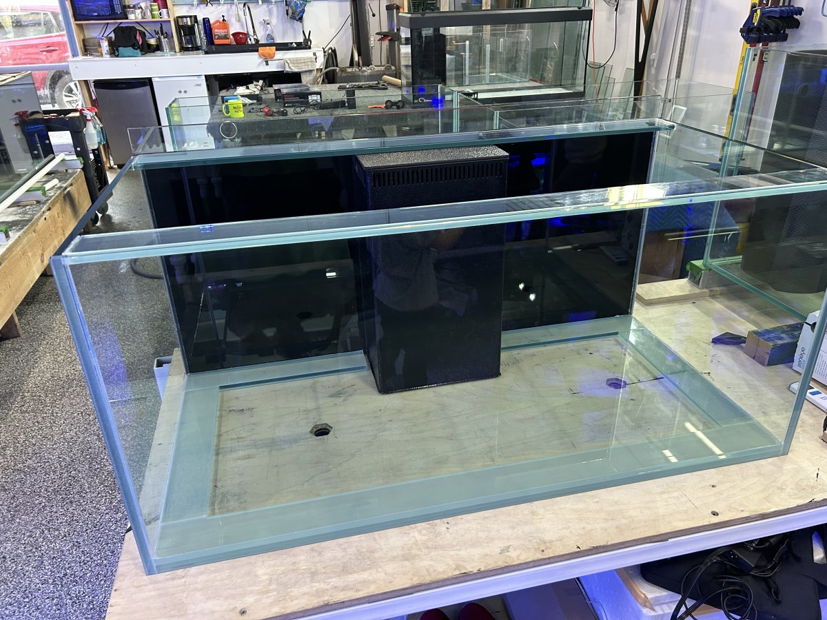 Adding Euro Brace? | Reef2Reef