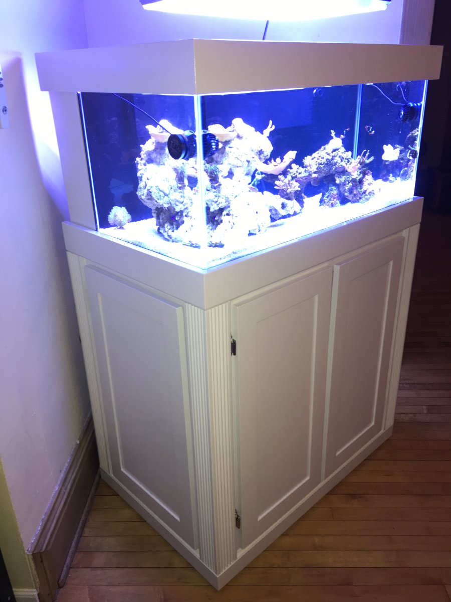 Stand Construction | Reef2Reef