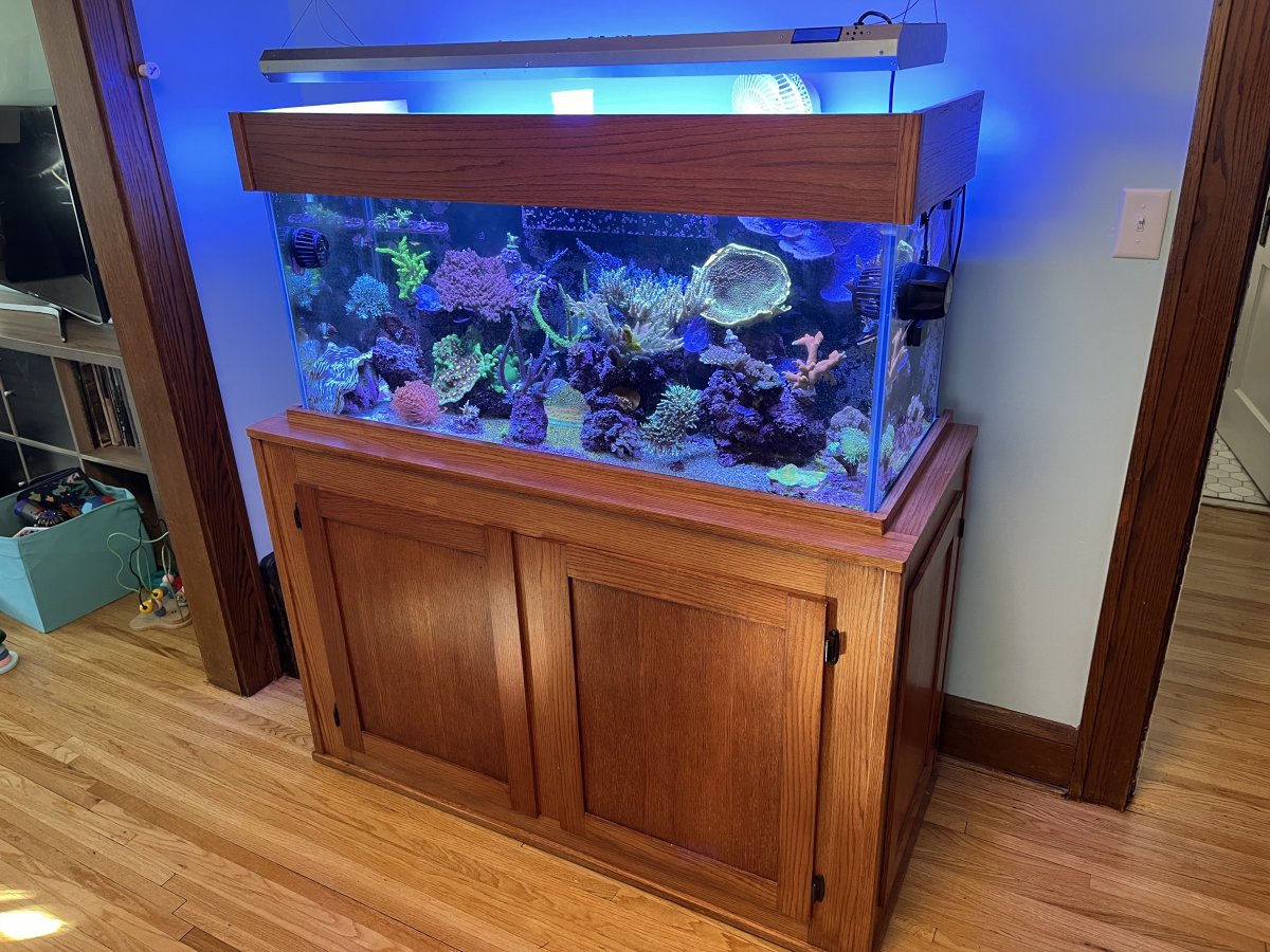 Stand Construction | Reef2Reef