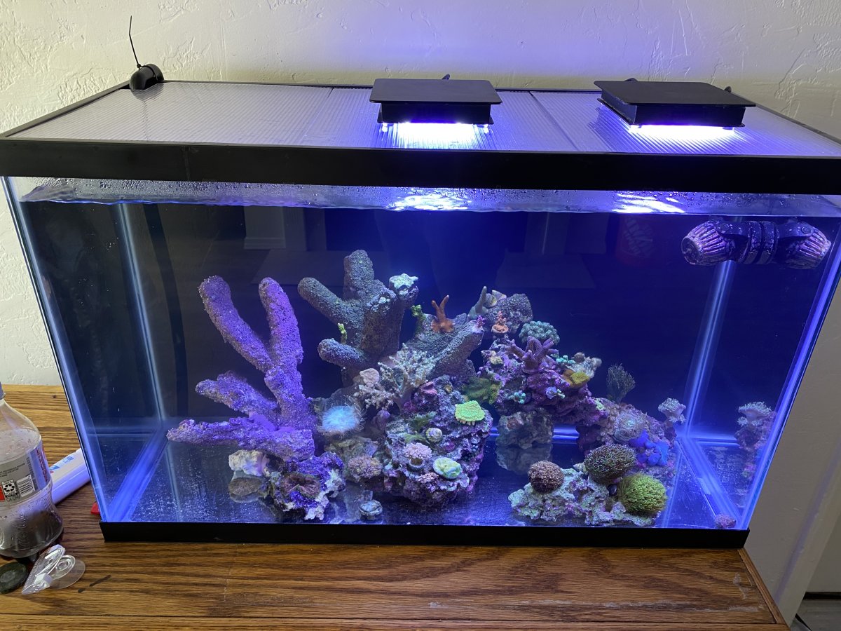 DIY mount for Fluval nano LED | Reef2Reef