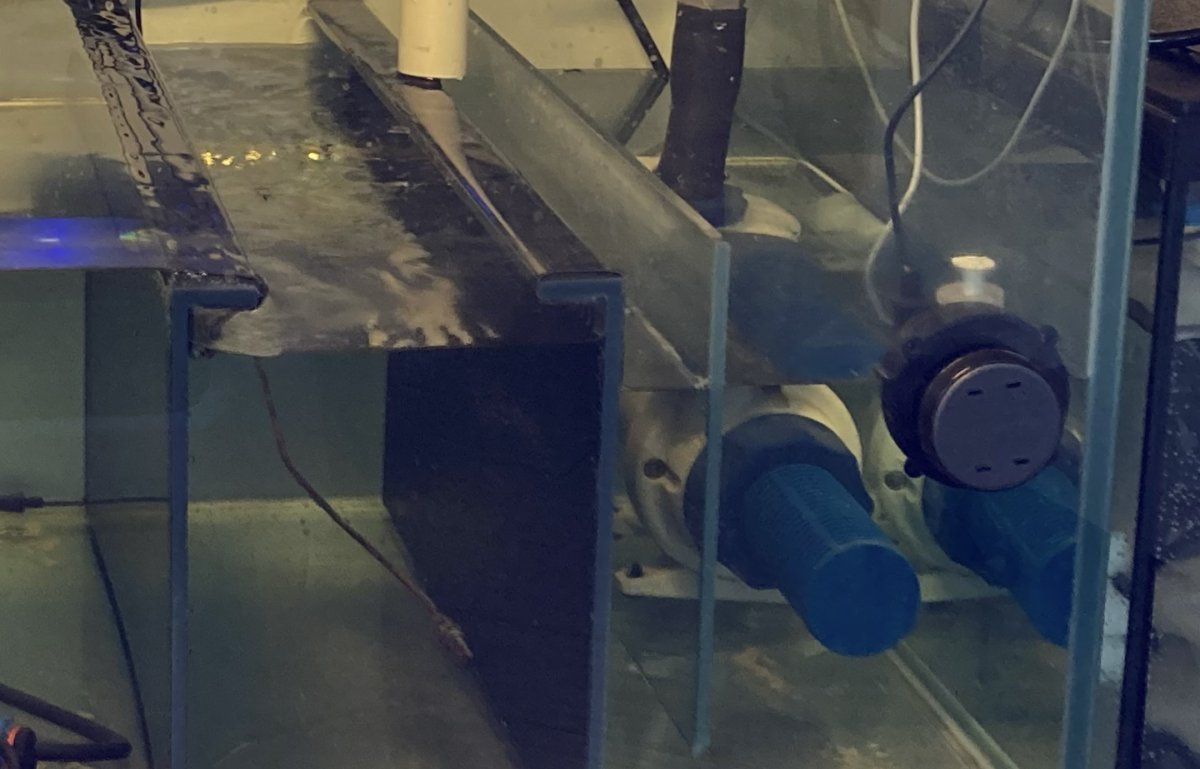 How can this baffle be fixed | Reef2Reef