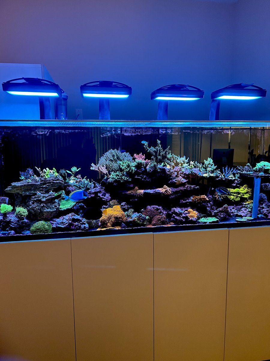 Florida - Aquariums - Dry Goods - WaterBox 220.6 Reef Tank System ...