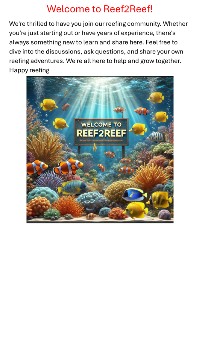 Hello - New account. Long time lurker. | Reef2Reef