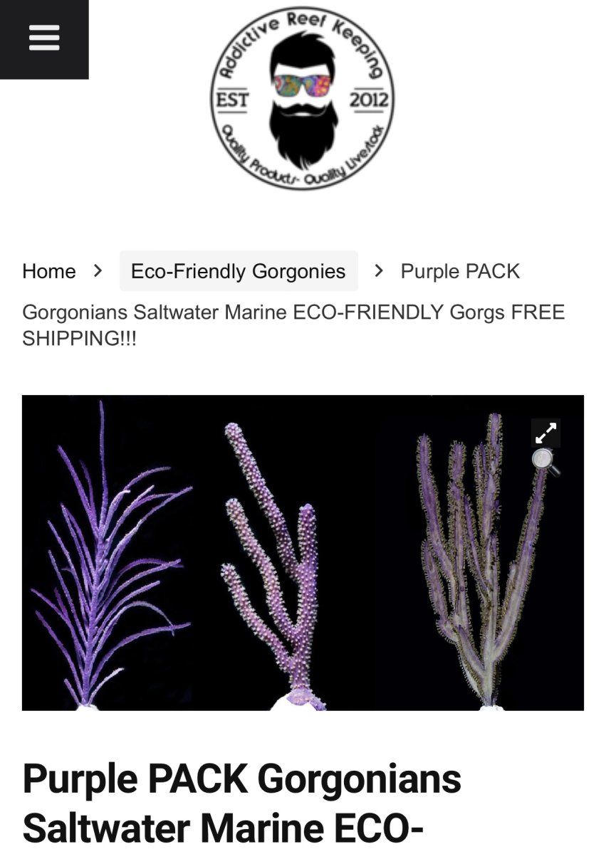 Advice on gorgonians? | Reef2Reef