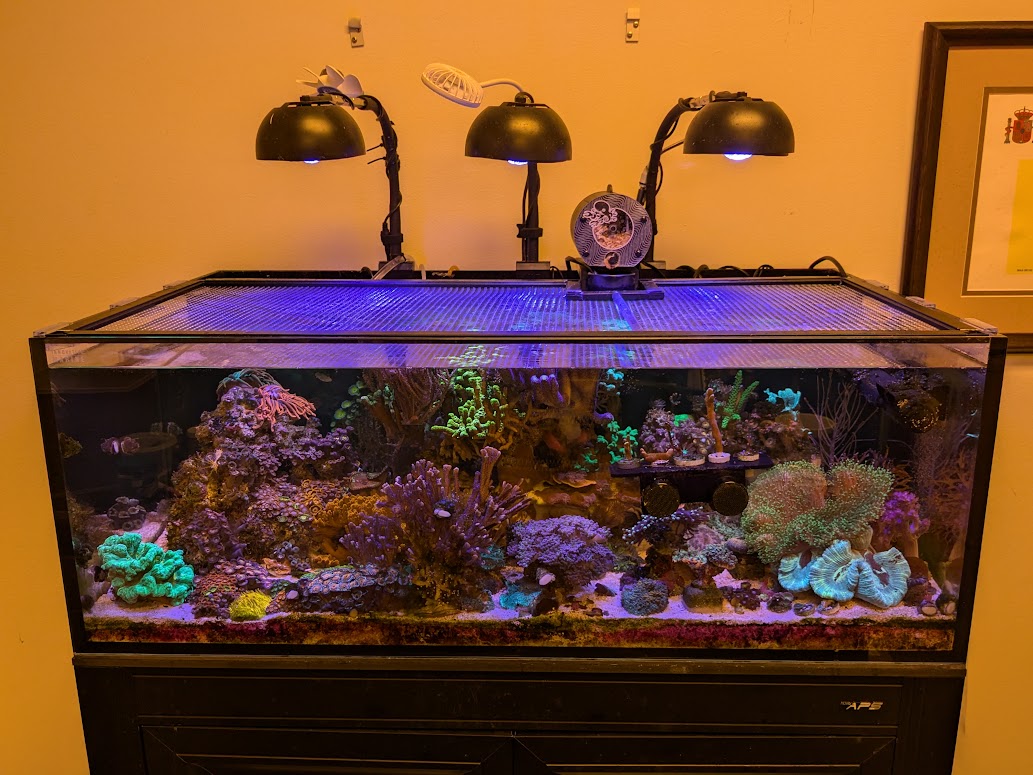 How many Noopsyche K7 pro IIIs for a 48 x 20 x 20? | Reef2Reef