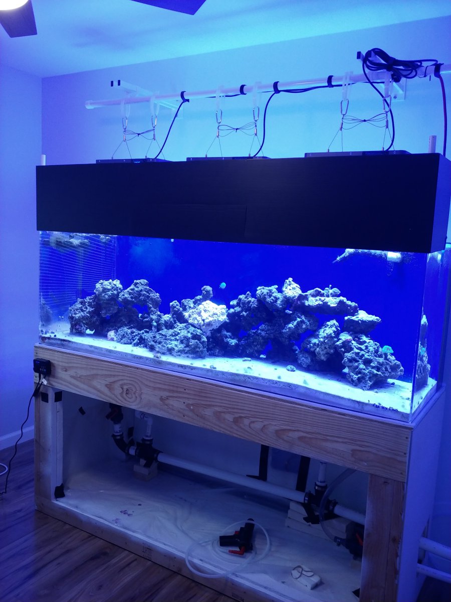 building a stand for a 180g tank | Reef2Reef
