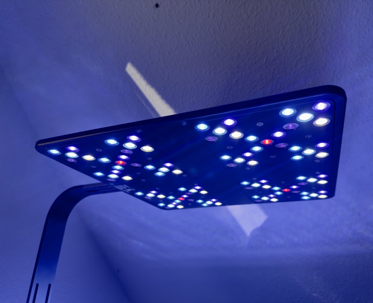 ATI Straton X – First Impressions & Technical Review (Red Sea Reefer G2 ...