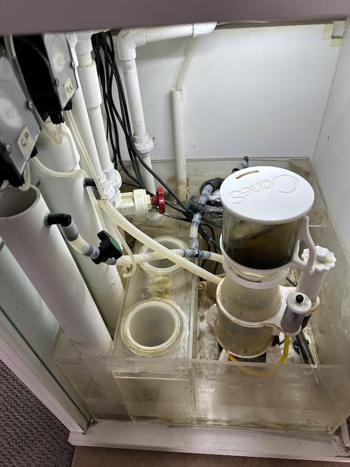New York - Aquariums - Dry Goods - Tank Stand Sump & Equipment | Reef2Reef