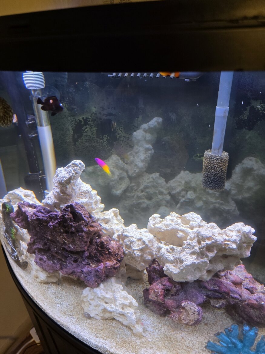 Build Thread - New Tank EXT100, starting again after many years, back ...