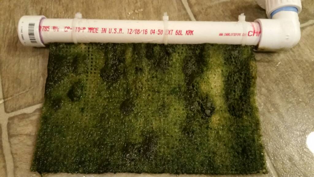Diy Mini Algae scrubber! | Reef2Reef