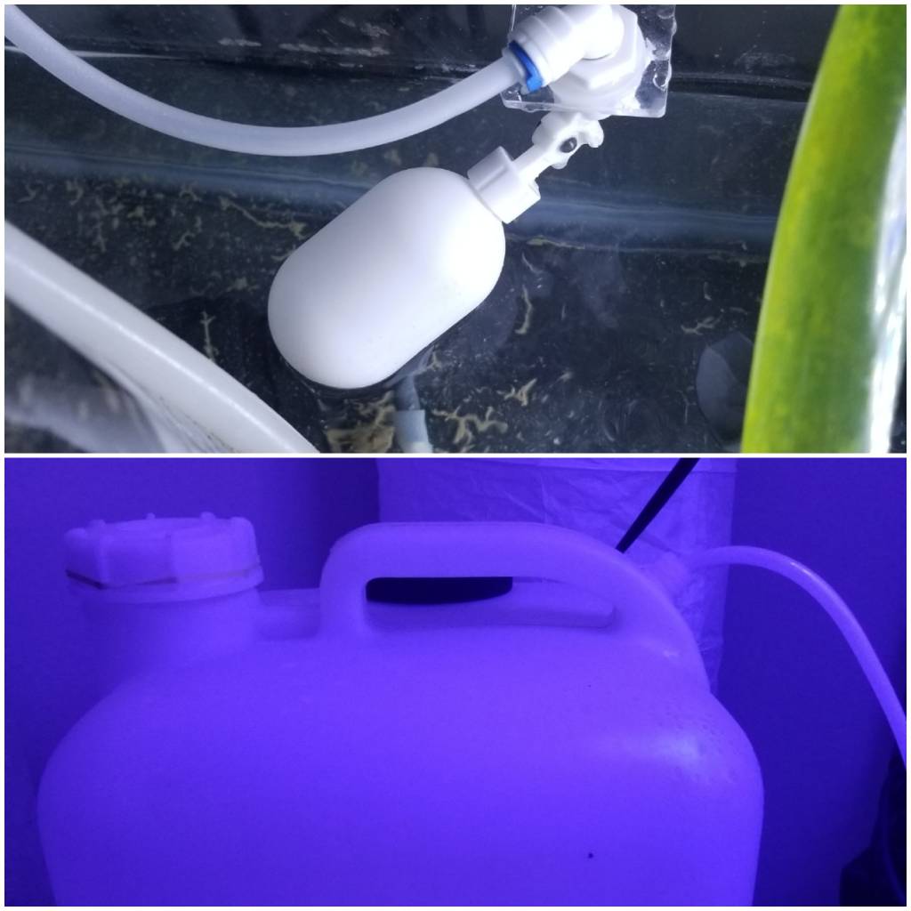 Kalk Drip vs Kalk in ATO in a sumpless system | Page 2 | Reef2Reef
