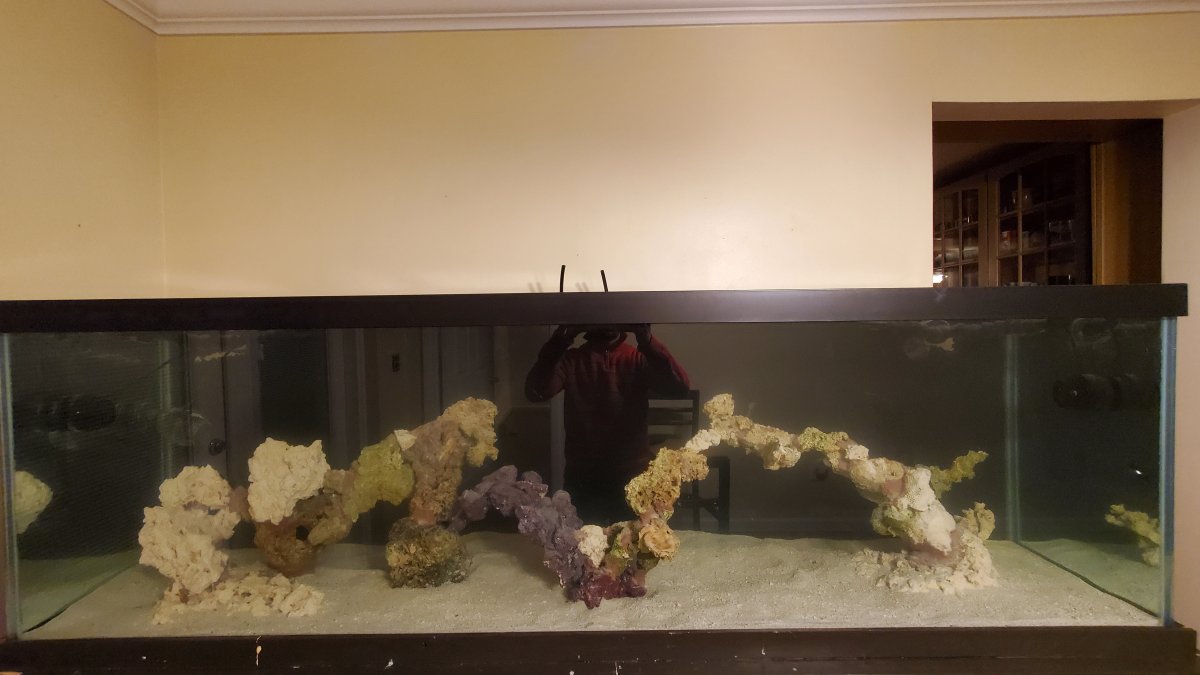 Build Thread - Justin's 120g reef tank build | Reef2Reef