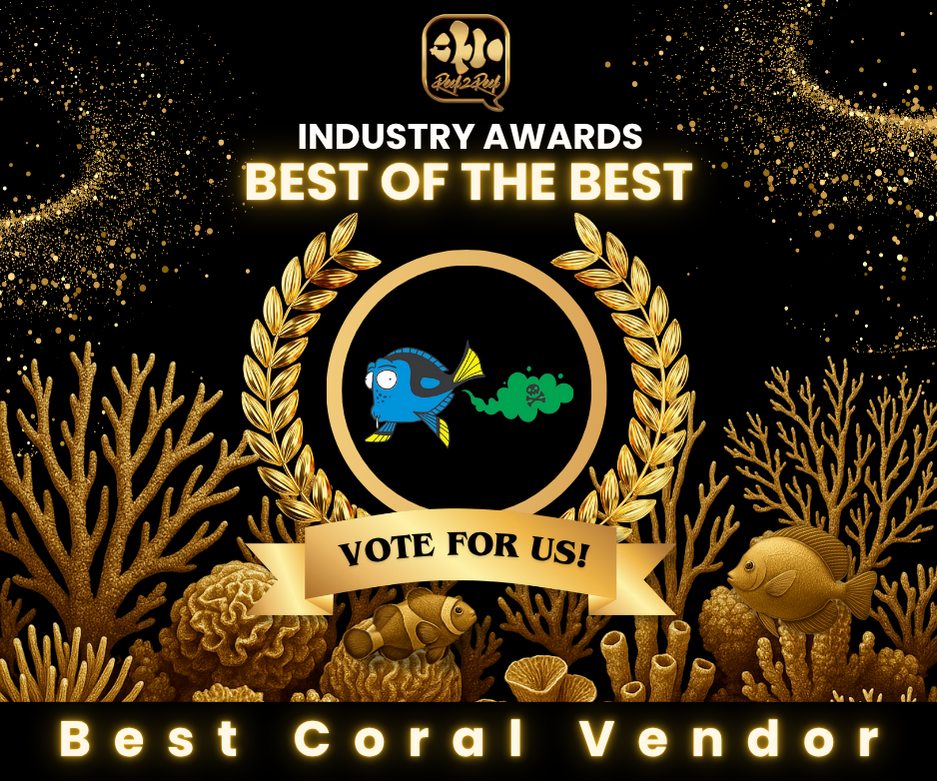 Best of the Best - Voting - Best Coral Vendor – Top-quality corals ...