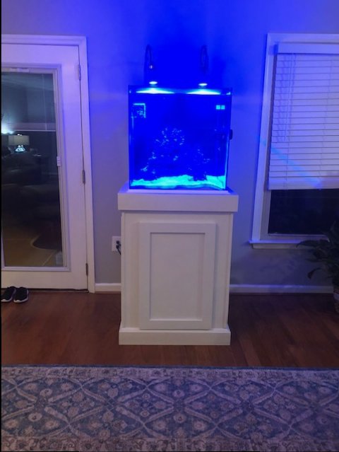 Cube Build - New 60 Gallon Cube | Reef2Reef