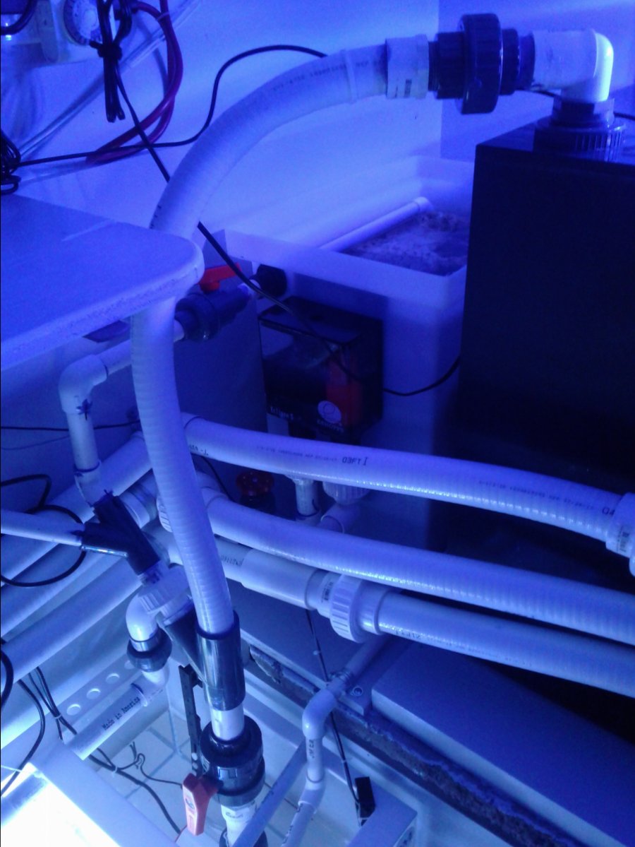Calling all the reefers with external overflows. | Reef2Reef