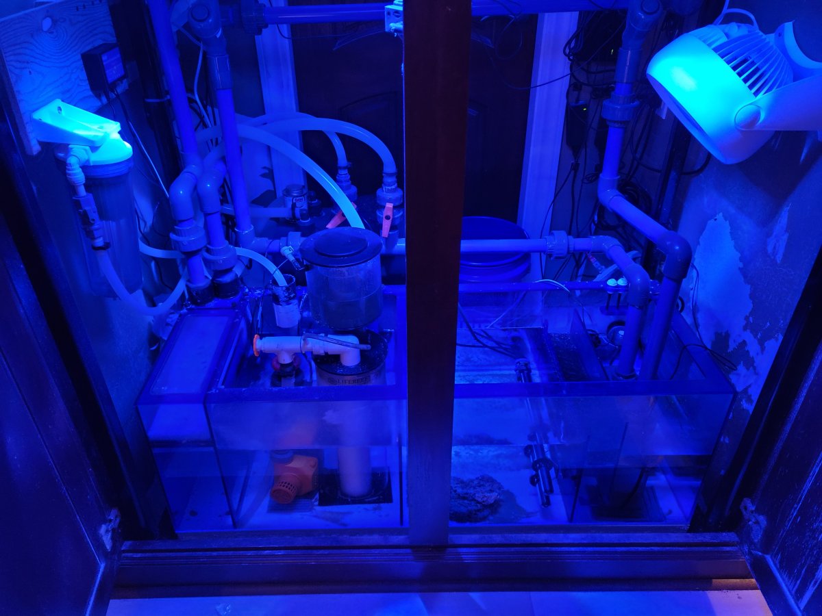 Your tank stand- What is underneath your stand? | Reef2Reef