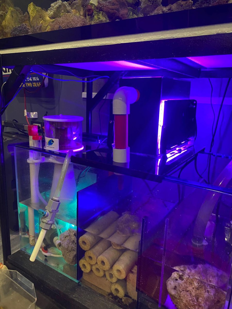 Working DIY Algae Scrubber for less than $80 | Reef2Reef