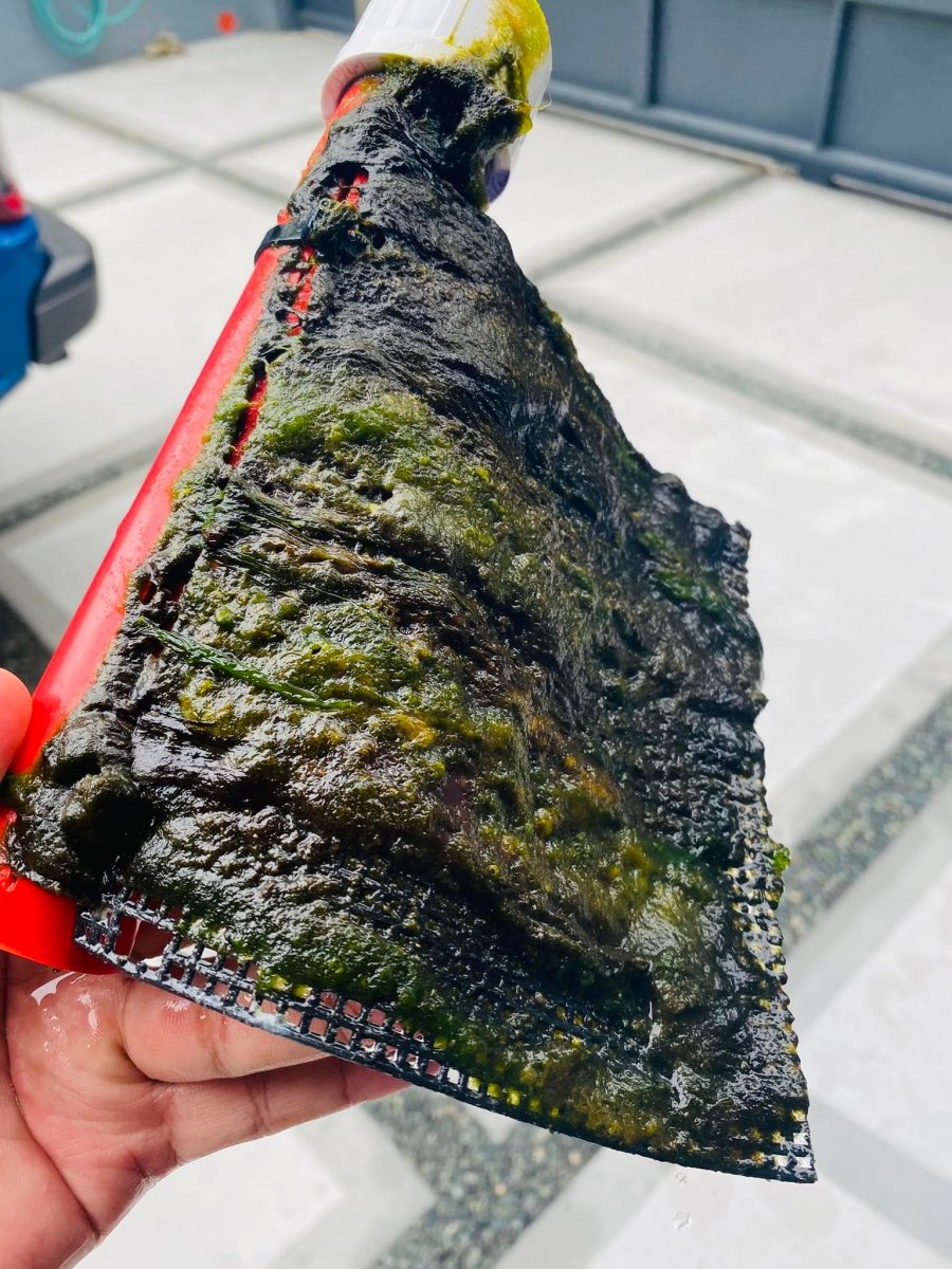 Working DIY Algae Scrubber for less than $80 | Reef2Reef