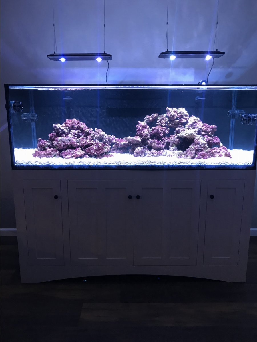 First tank ever!! 225 gallon reef tank | Reef2Reef