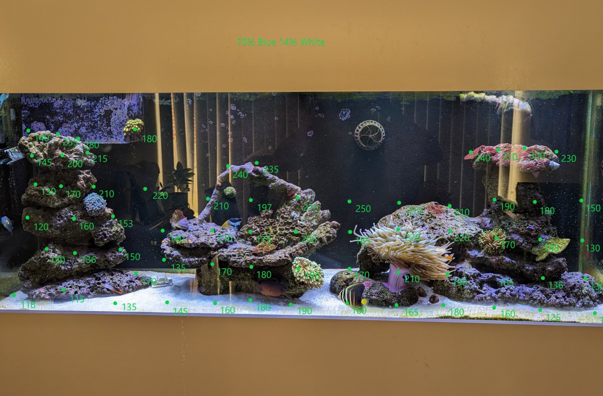 PAR Readings for Reef tank x4 Vipaspectra | Reef2Reef