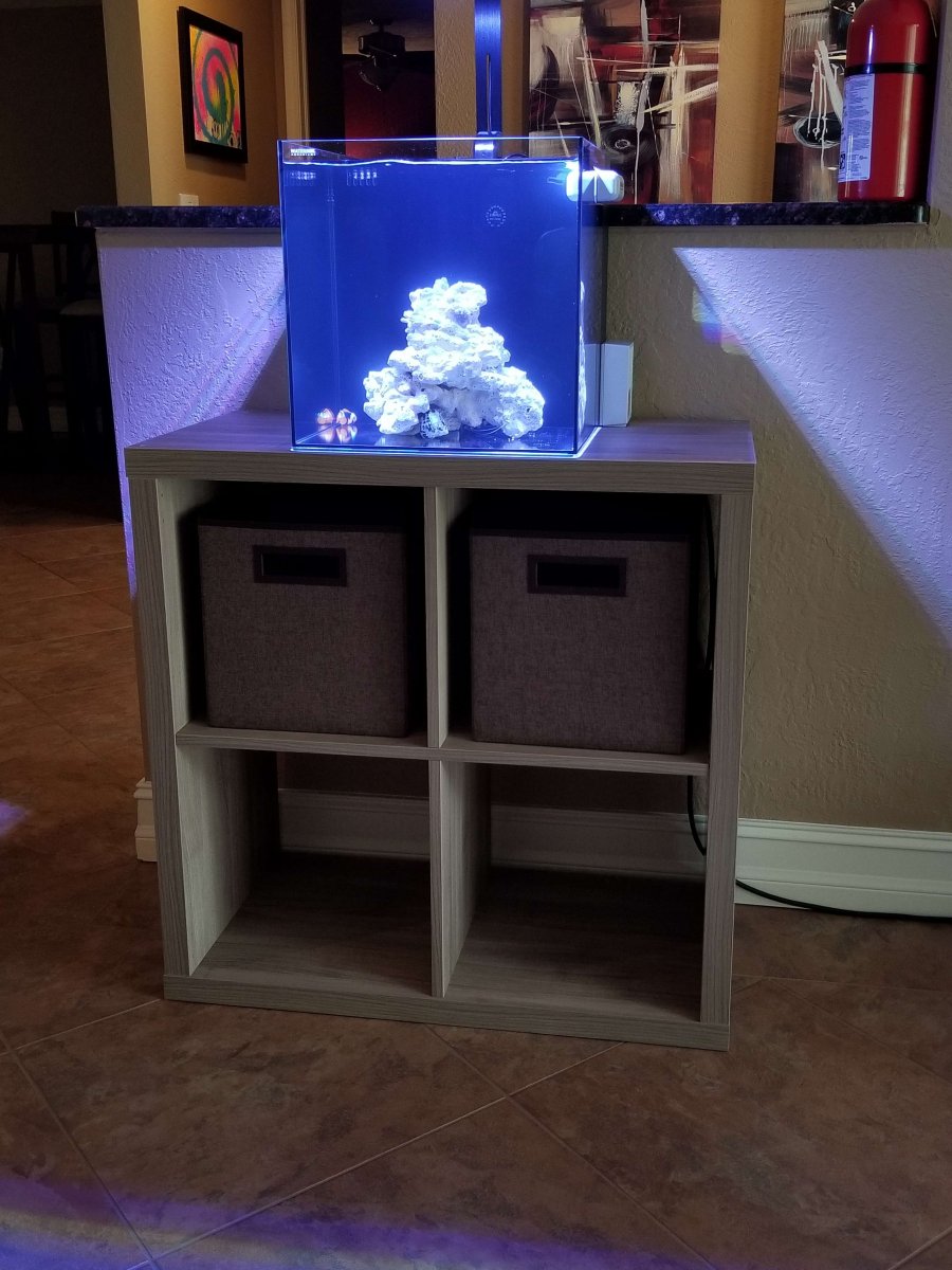 Waterbox 10 gallon AIO | REEF2REEF Saltwater and Reef Aquarium Forum