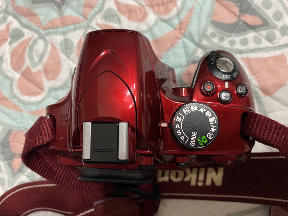 Florida - Media - Miscellaneous - Nikon DSLR Camera Bundle with 2 Lens ...