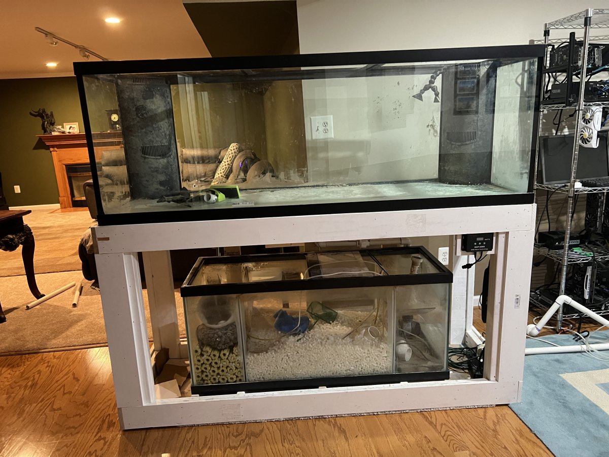 40g to 180g tank upgrade | Reef2Reef