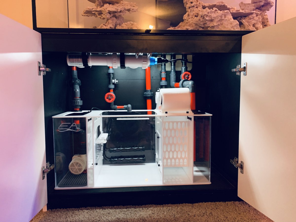 The Ultimate Sump Thread - Pics | Reef2Reef