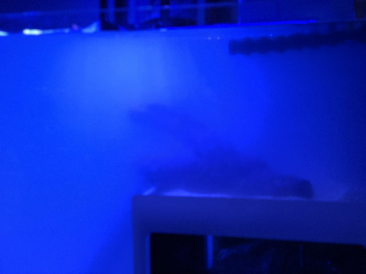AIO Build - Another tank born. Artfully acrylic Drof Off Tank | Reef2Reef