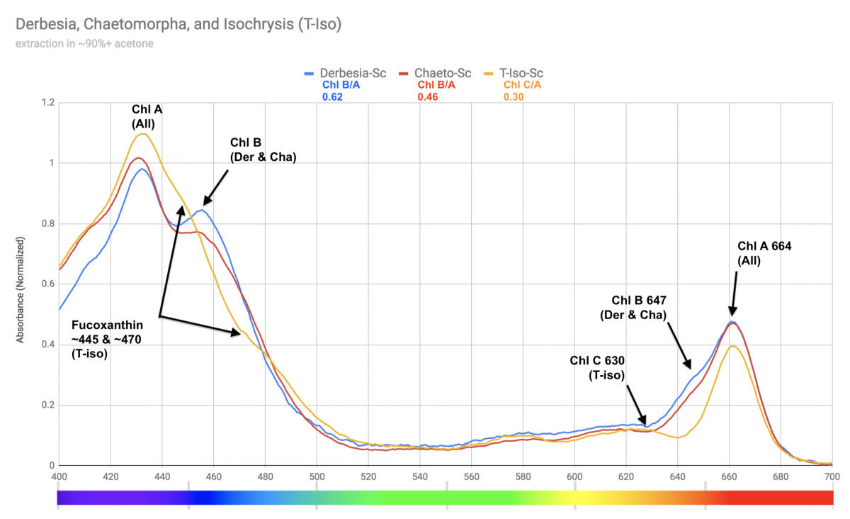 A Spectrophotometer view of Photosynthetic Organisms in our Tanks ...