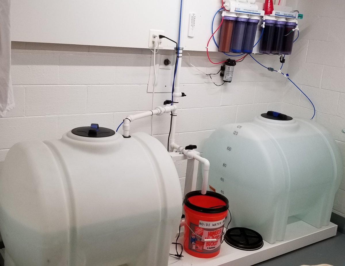 QUESTION OF THE DAY - Brew your own ocean: What do you use for a water ...