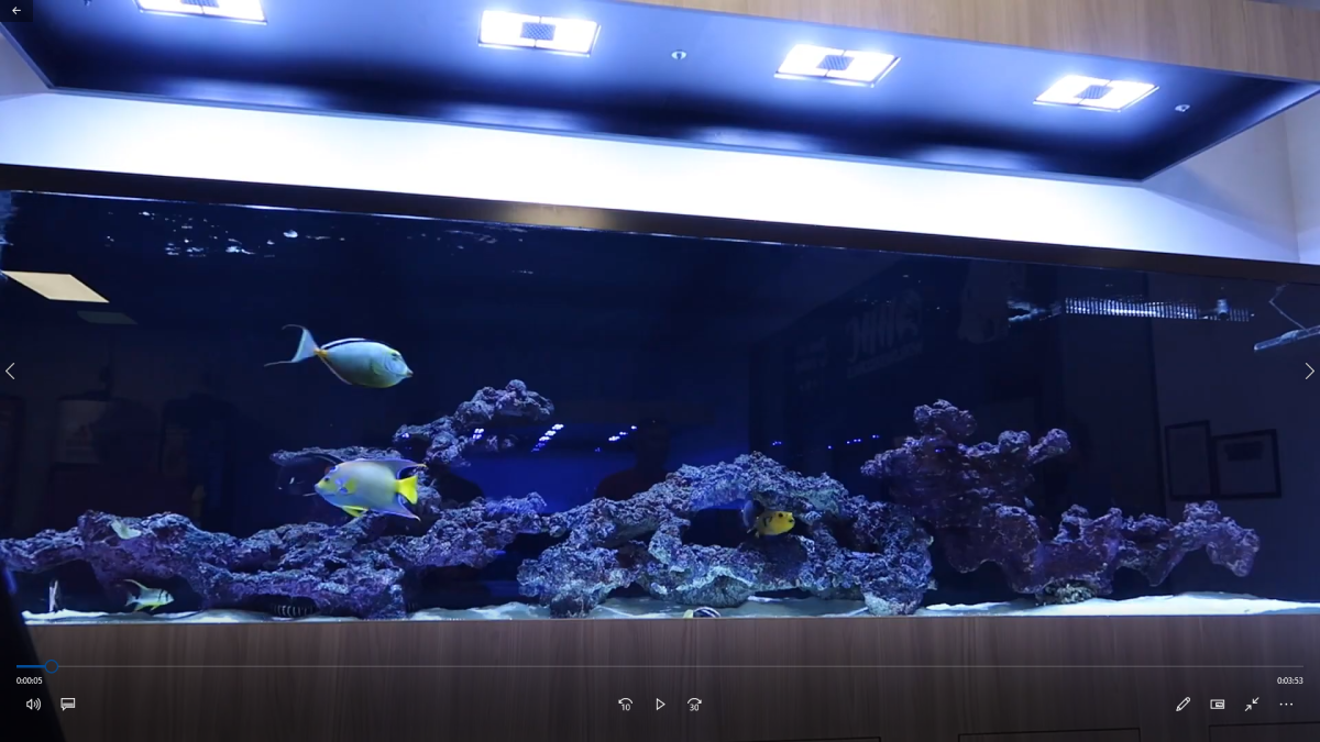 QUESTION OF THE DAY - Reef scape shapes: How many arches do you have in ...