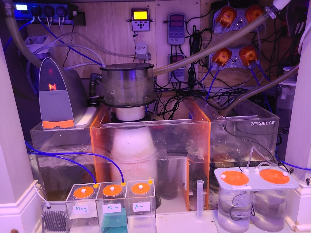Calcium Reactor in conjunction with kalk dosing - What to do?!? | Page ...