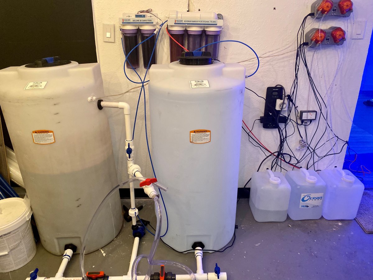 Large Build - Waterbox 190.5 Build | Reef2Reef