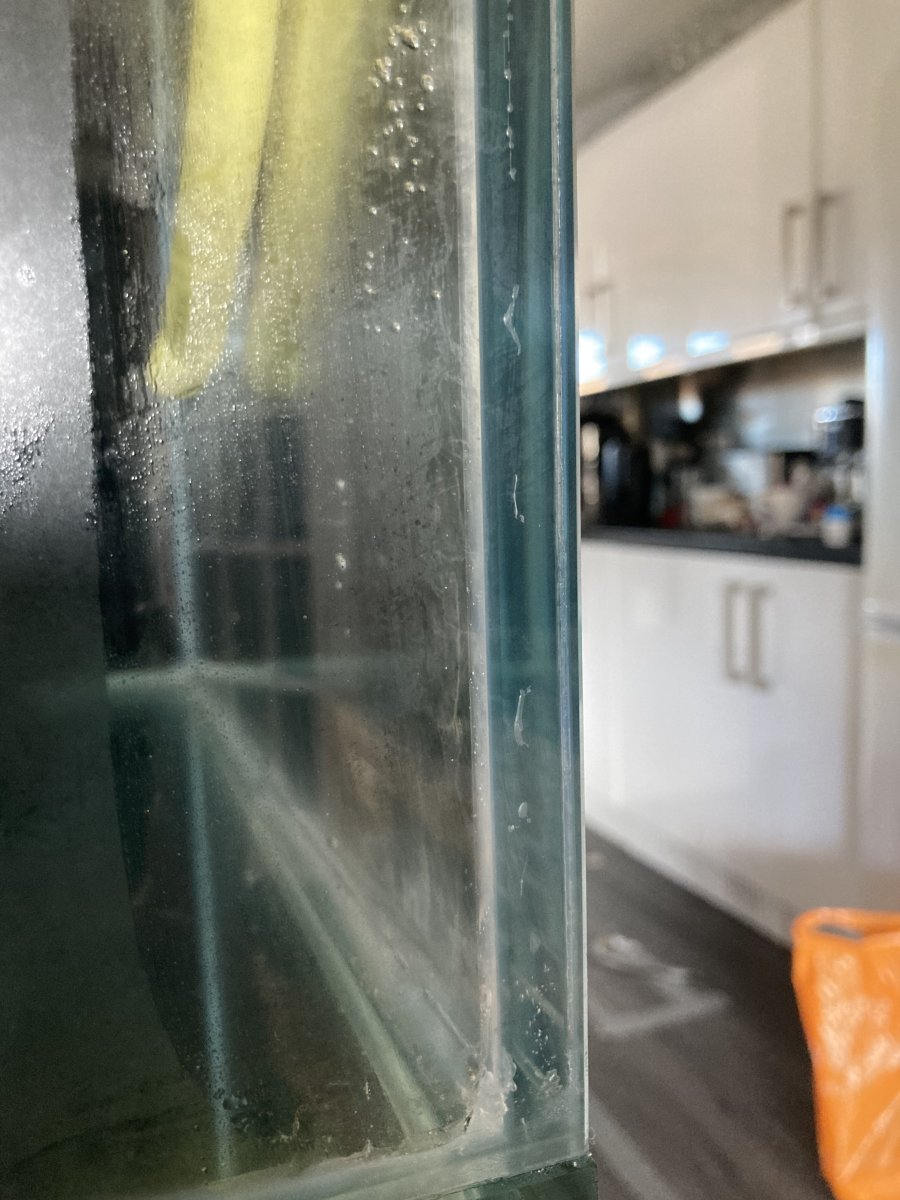 Should I be concerned over this silicone seam? | Reef2Reef