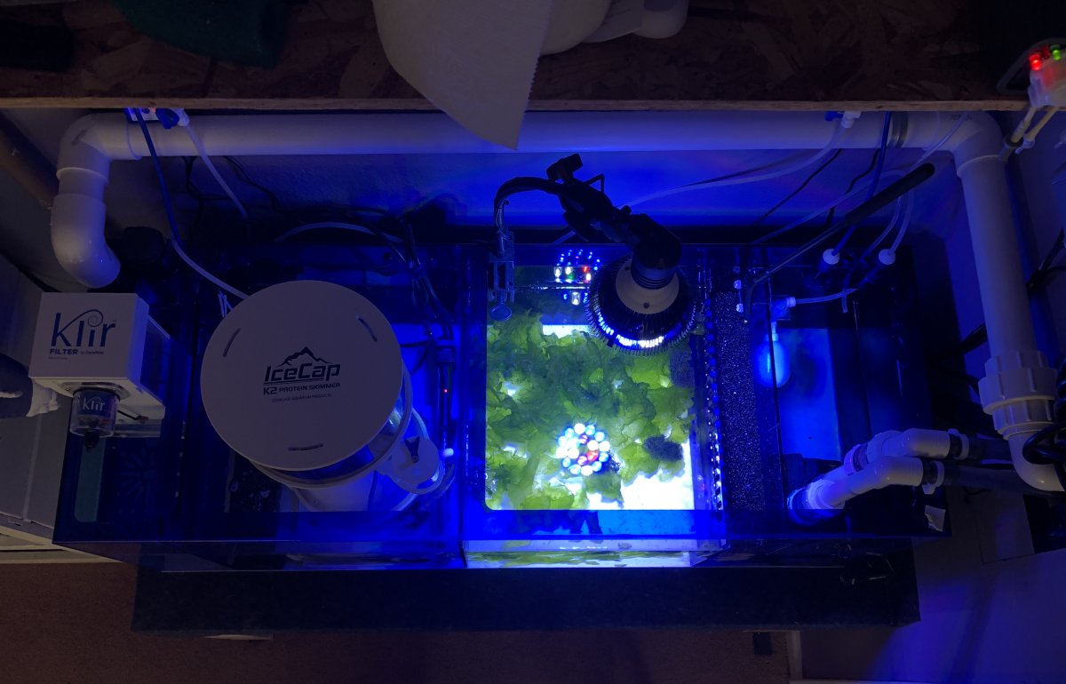 Build Thread - Old school 60g Hex tank build | Reef2Reef